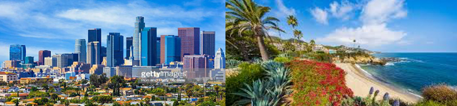 About LA County Department of Health Services - LADHS