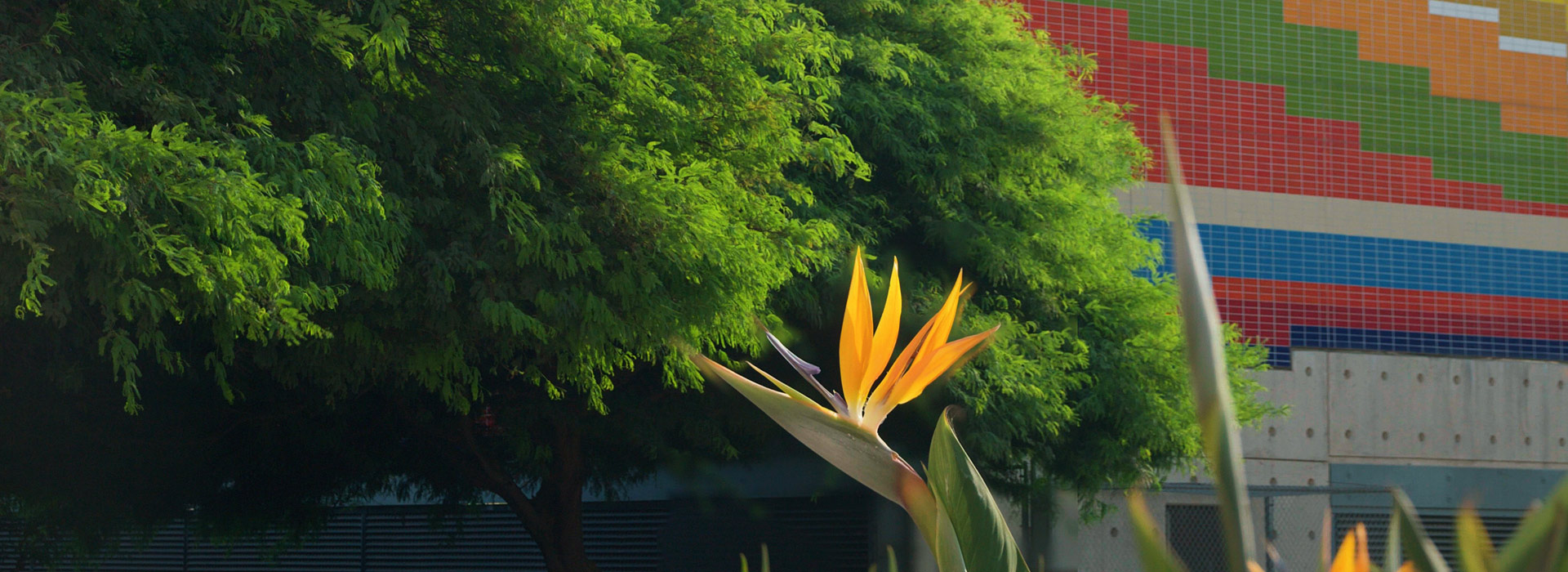 Edward R. Roybal Comprehensive Health Center - LADHS