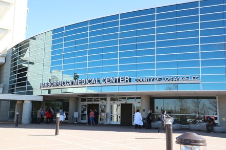Embrace a Pediatric Hospitalist Career at Harbor-UCLA Medical Center ...